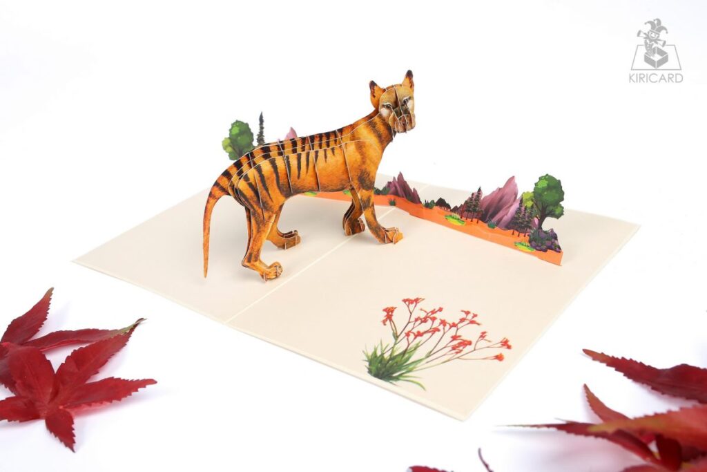 Australian Tasmania Tiger Pop Up Card - Kiricard