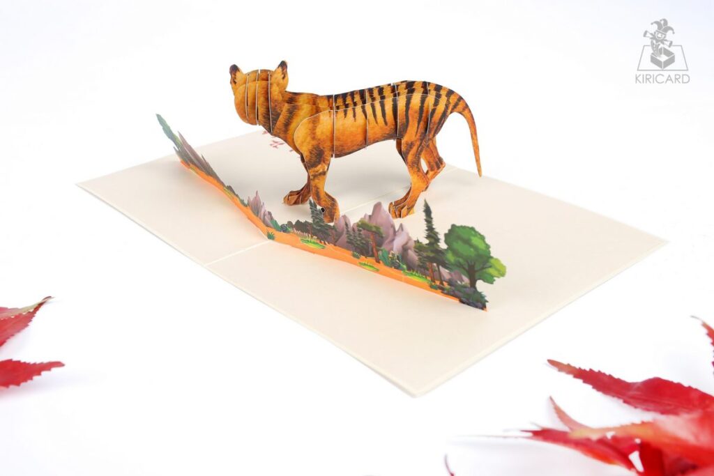 Australian Tasmania Tiger Pop Up Card - Kiricard