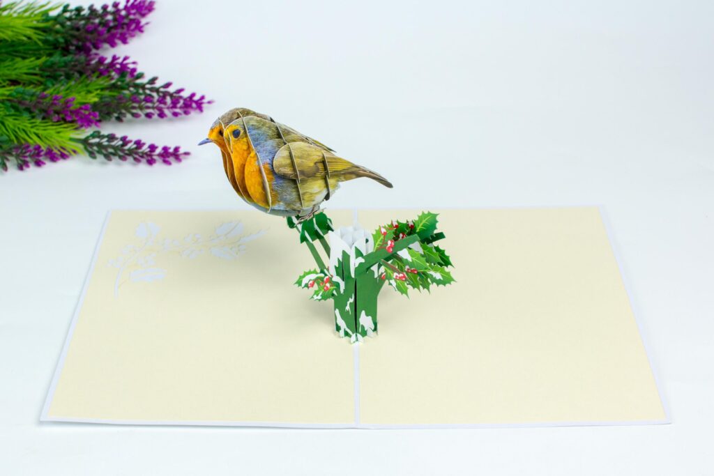 Robin Pop Up Card - Kiricard
