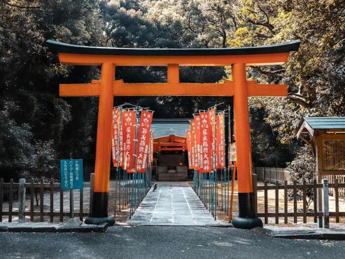 20+ Best Cultural Symbols and Their Meanings