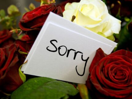 D70+ Effective Ways to Reply to Sorry in Any Situations